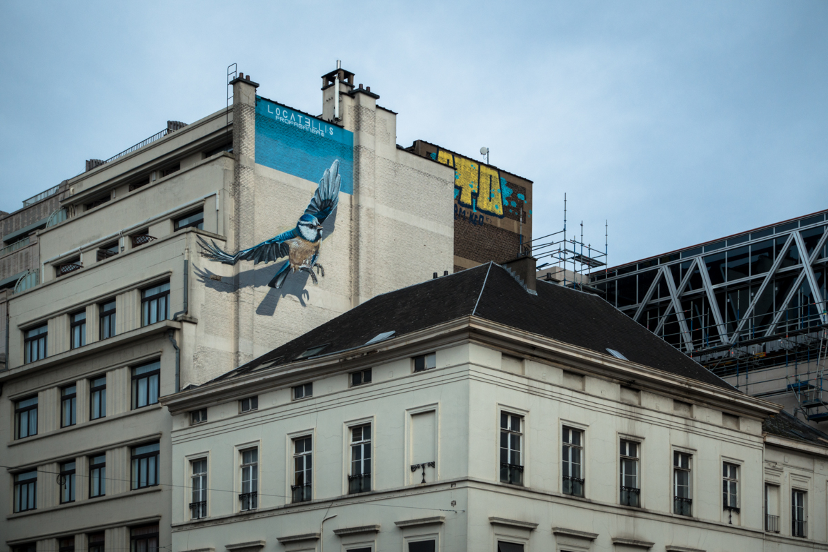 streetart murals in brussels | URBANPRESENTS